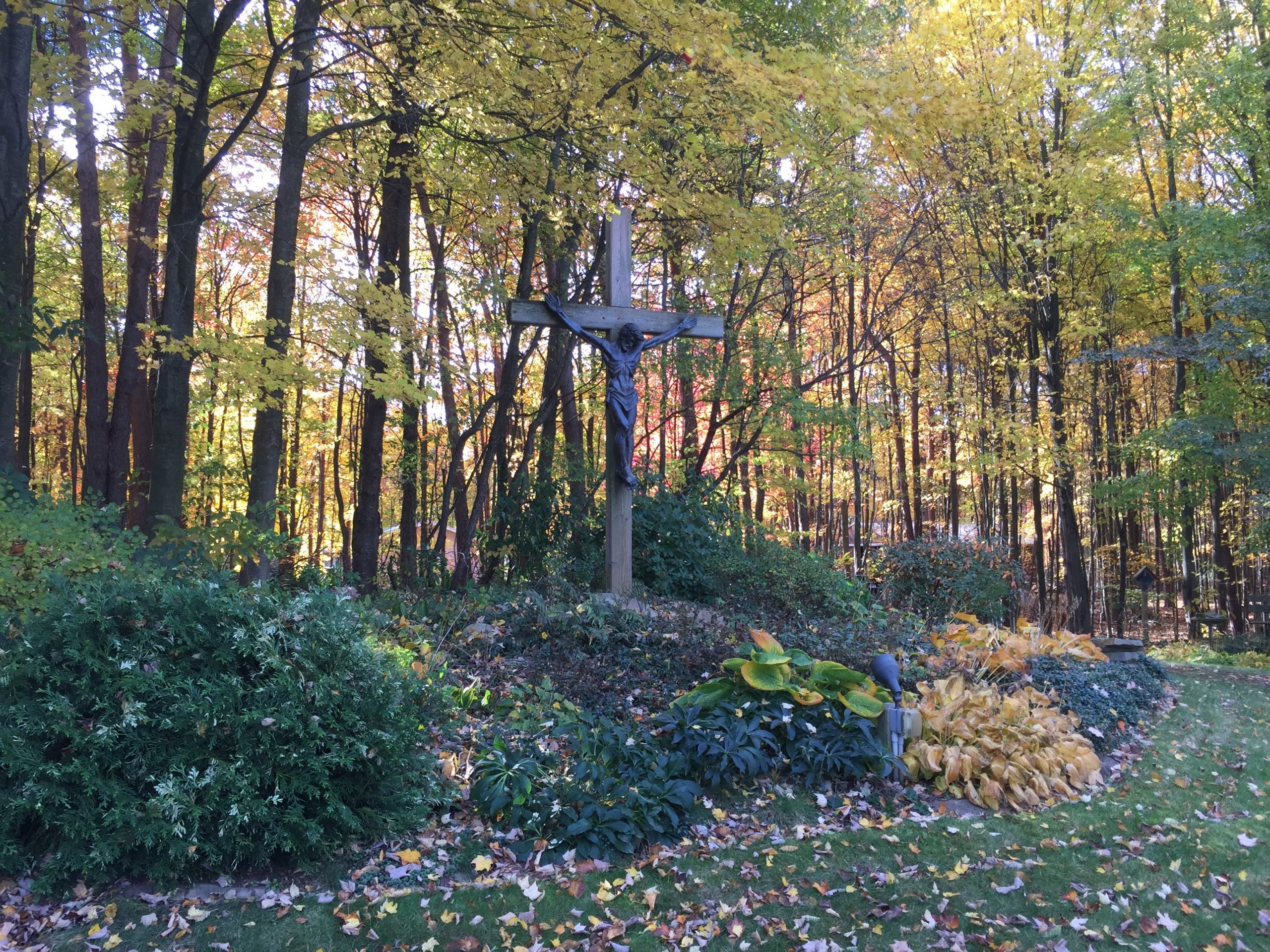 Thirty-Third Sunday in Ordinary Time: November 14, 2021 – Our Lady of ...